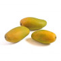 Fresh Mangoes - MangoPoint