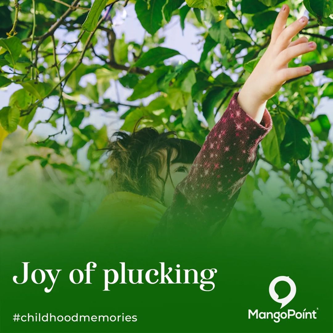 About us - MangoPoint