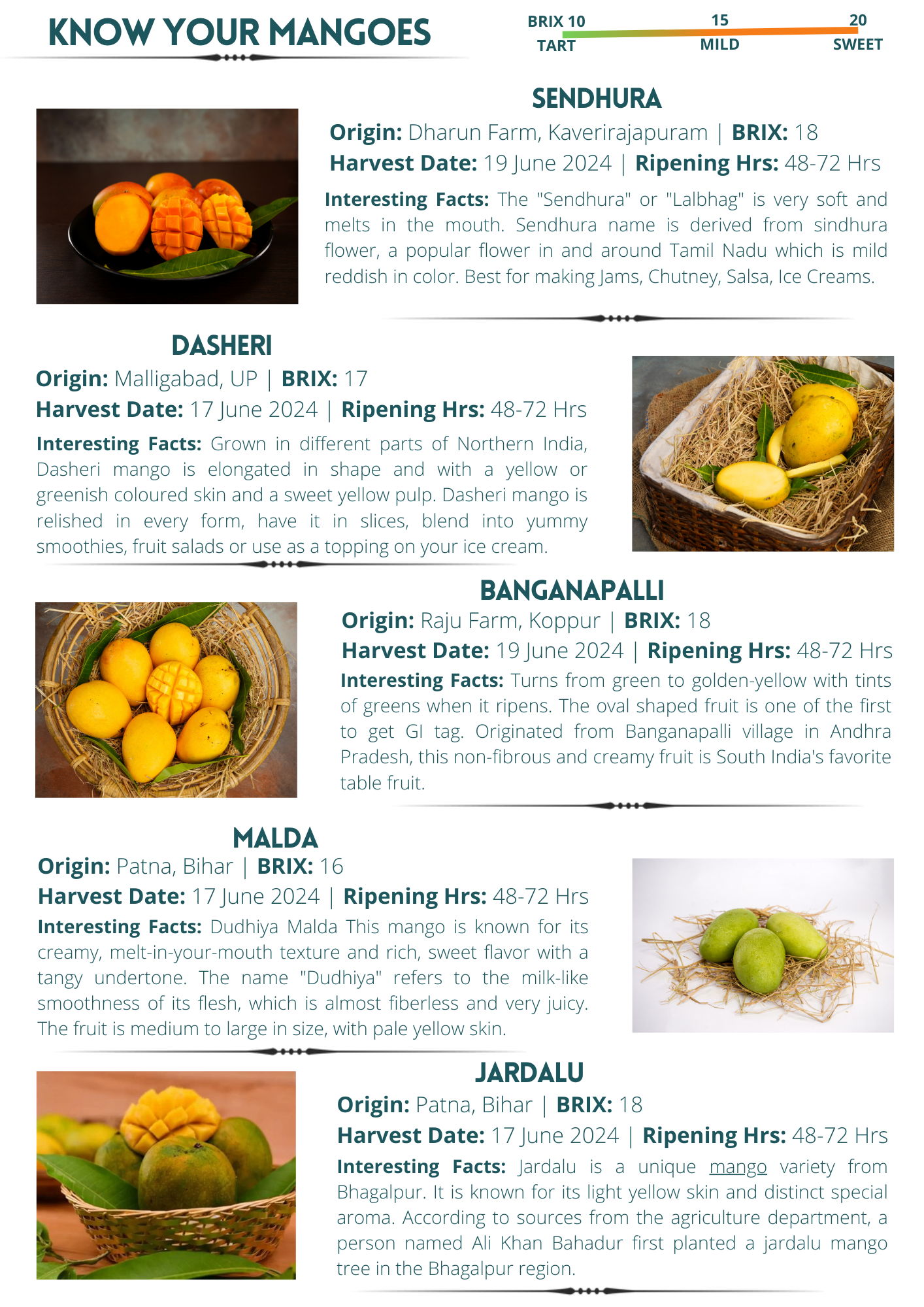 Know your mangoes - MangoPoint