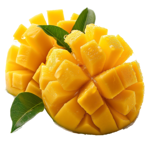 About Us - MangoPoint