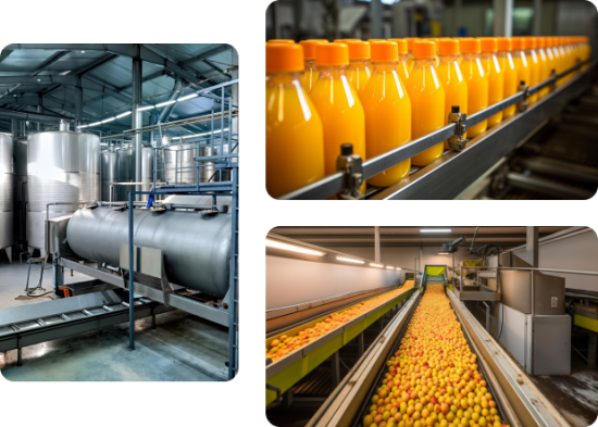 About Us - MangoPoint