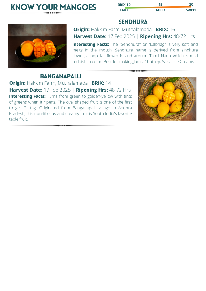 Know your mangoes - MangoPoint